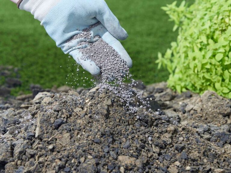 4+ Loại bột thạch cao đắp mặt tốt nhất : Thông tin từ A-Z